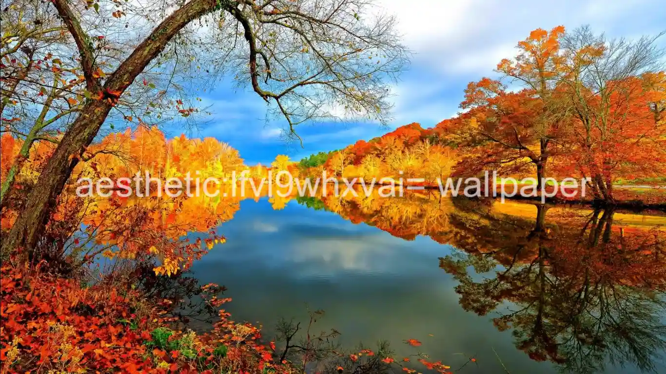 aesthetic:lfvl9whxvai= wallpaper: Fusion of Art and Tech | Career Updraft